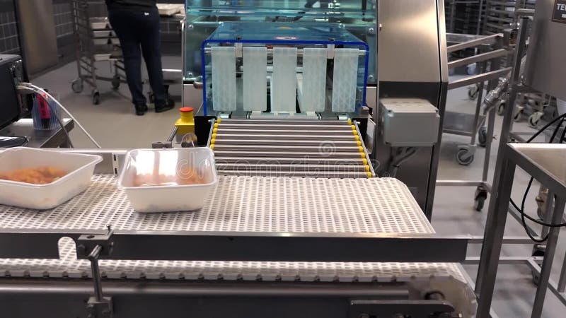 Automated Food Production and Packaging Tape Stock Video - Video of ...
