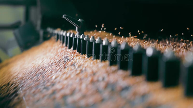 Automated Grain Distribution in Silo, Grains Being Evenly Distributed ...
