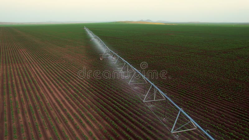 Automated Irrigation Systems Efficiently Watering Large Fields during a ...