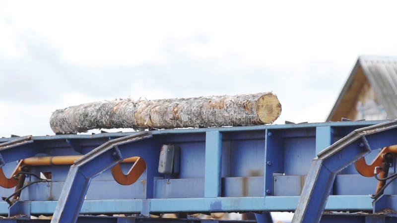 Automated Log Sorting Line. Wheel Loader and Automatic Sorting Logs ...