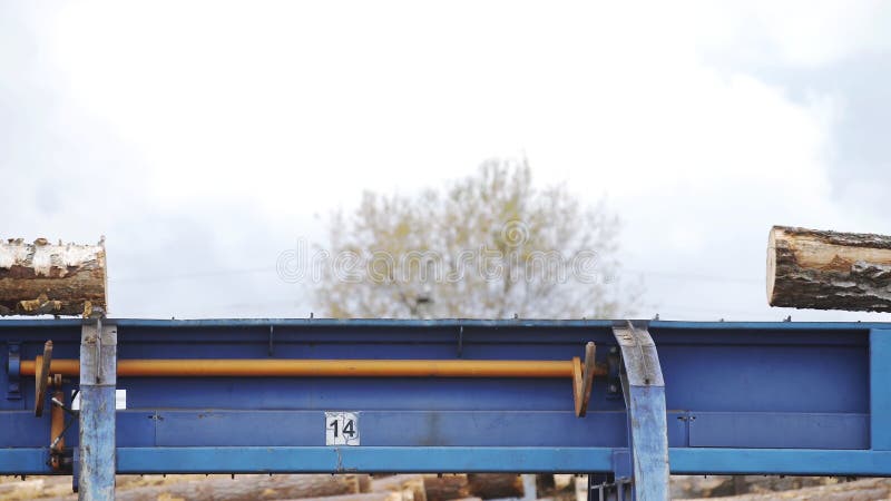 Automated Log Sorting Line. Wheel Loader and Automatic Sorting Logs ...