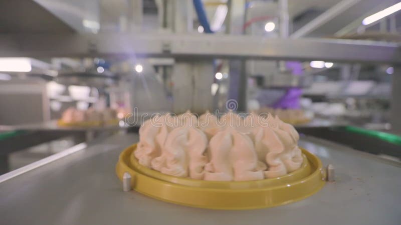 Automatic Conveyor for the Production of Ice Cream. Ice Cream Factory ...