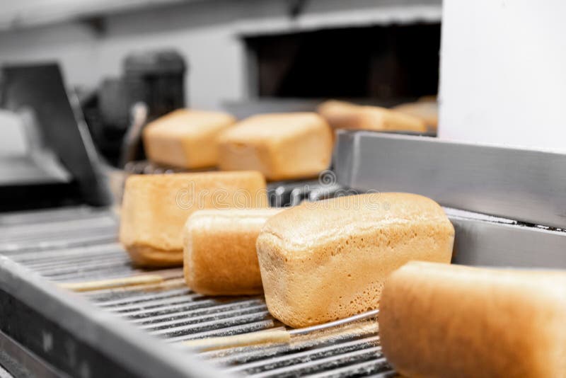 Automated Production Line Bakery Fresh Hot Baked Breads Stock Photo ...