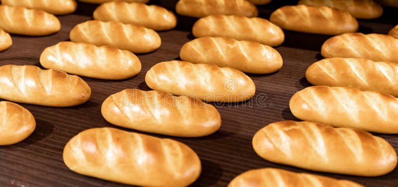 Automated Production Line Bakery Fresh Hot Baked Breads Stock Image ...