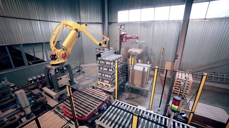Robotic Arm Loading Cartons on Pallet Stock Video - Video of carton ...