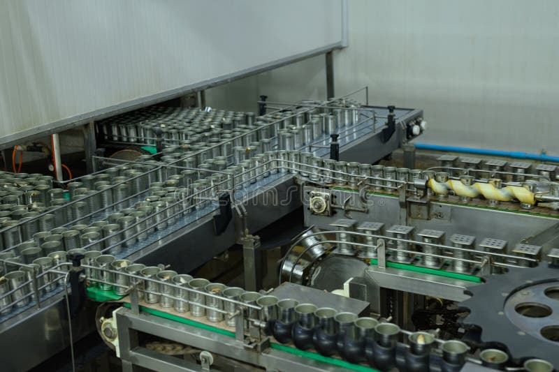 Automated System Handling Rows of Cans in a Canned Fish Production Line ...