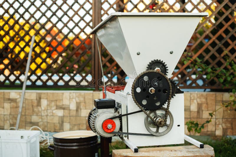 Automatic Destemmer Crusher Machine. Small Business Concept. Wine ...