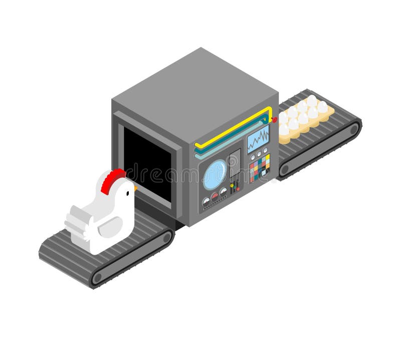 Automatic Egg Production. Chicken and Eggs Production Complex of ...