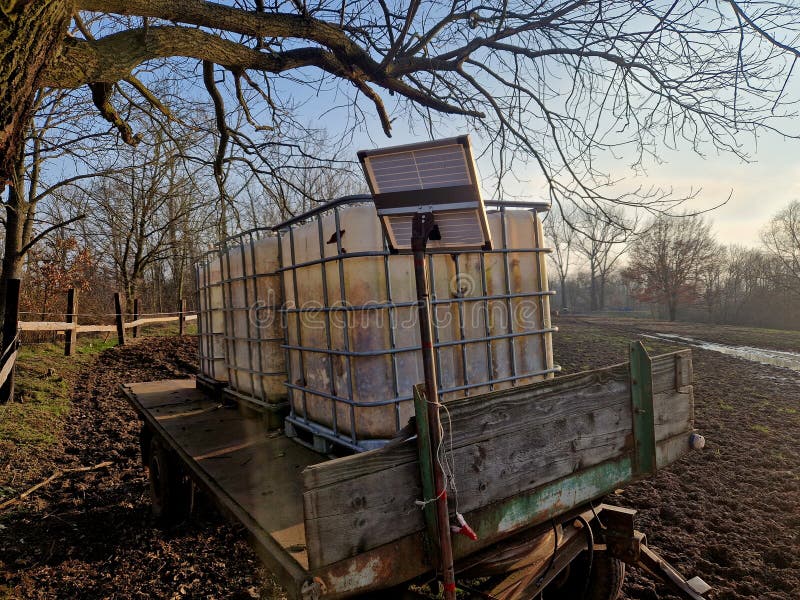 Automatic Feed Station for Fence Wire in a Paddock for Cattle on Stock ...