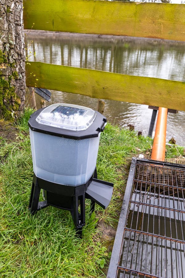 An Automatic Fish Feeder Stands at the Edge of a Trout Pool Stock Photo ...
