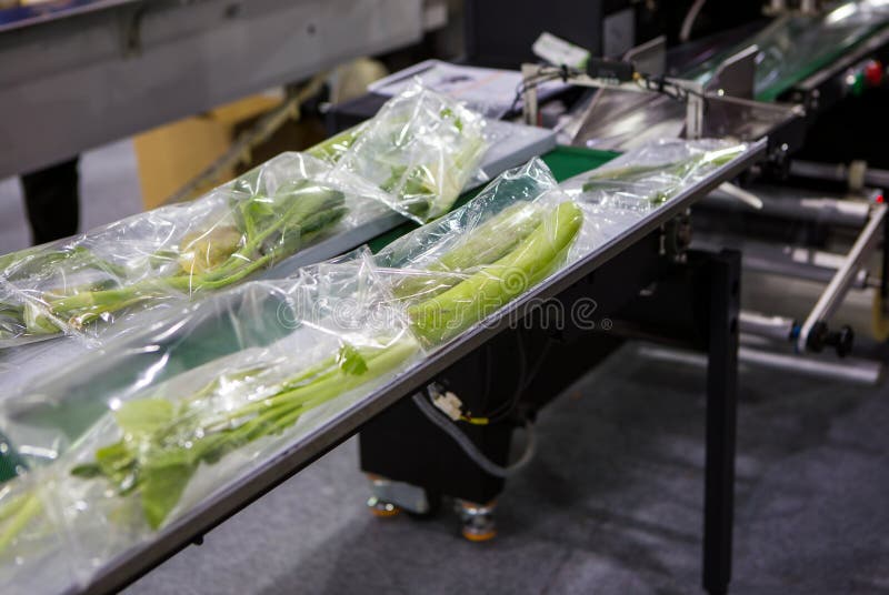Automatic Food Flow Packaging Machine Stock Photo - Image of ...