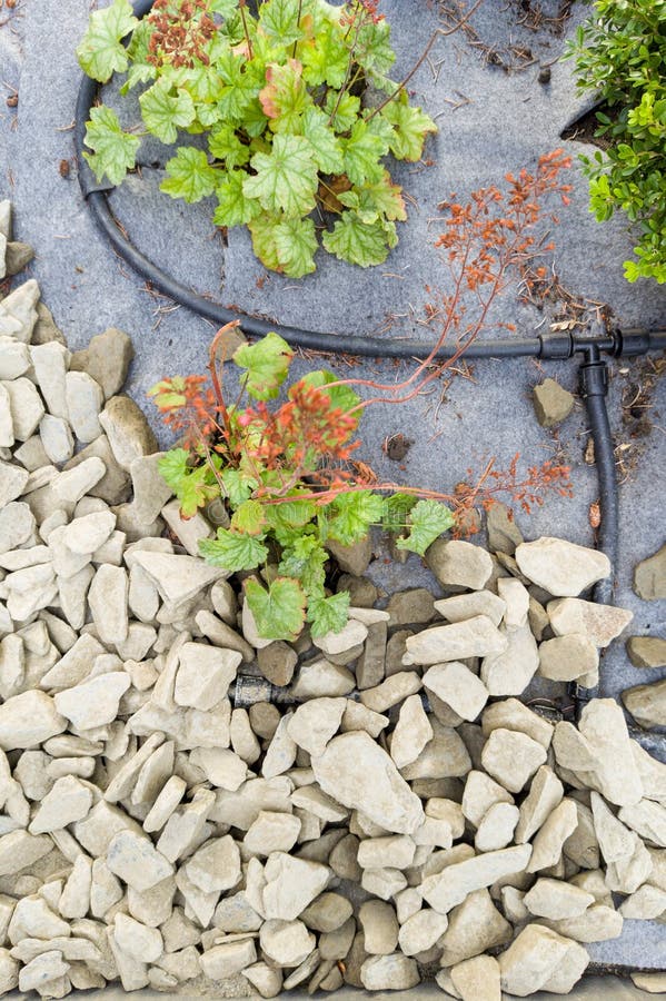 Automatic Garden Irrigation System Construction Stock Image - Image of ...