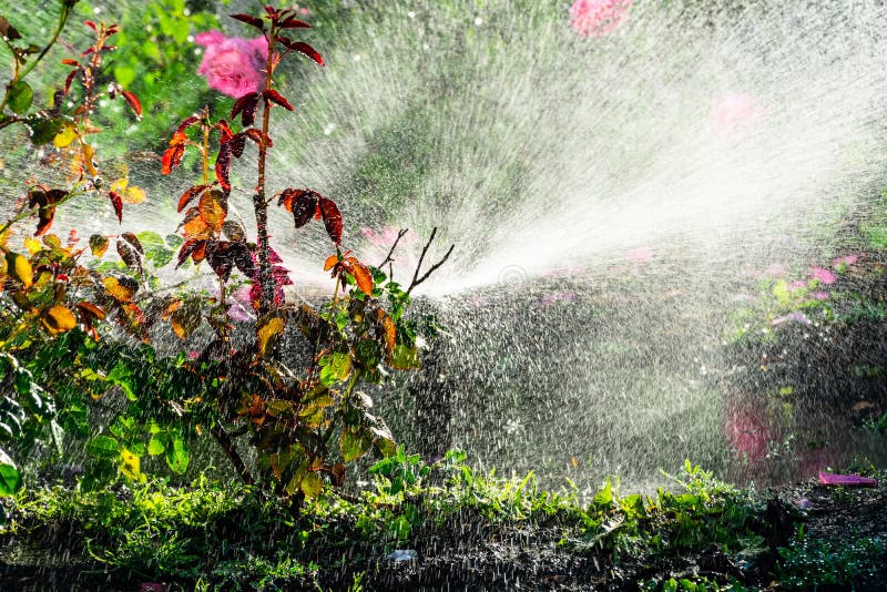 Automatic Irrigation System.Automatic Irrigation System. Automatic ...