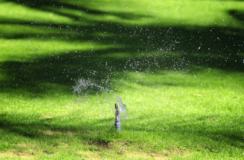 Automatic Lawn Sprinkler System Sprays the Drops of Water Under Stock ...