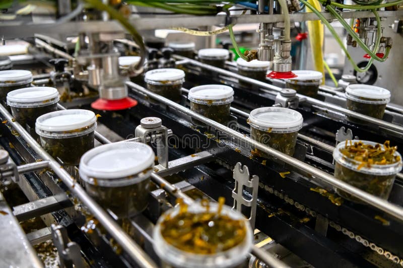 Automatic Line for Packing Seafood. Stacking Seaweed and Pouring Brine ...