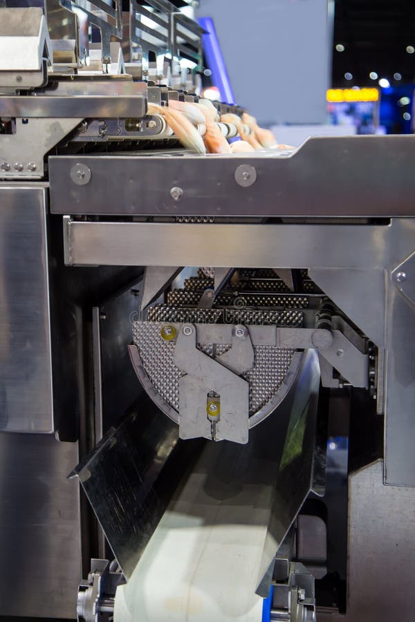 Automatic Meat Weight Sorting Machine Stock Photo - Image of device ...