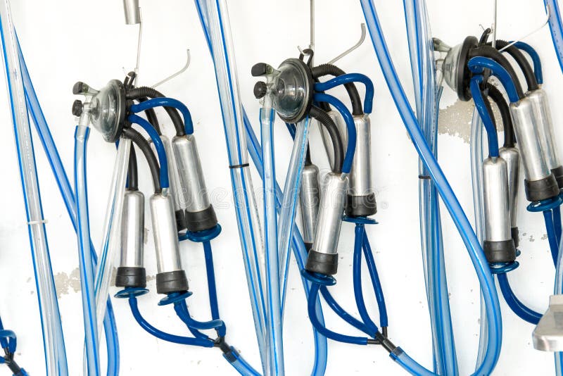 Automatic milking system stock image. Image of nutrients - 22797297
