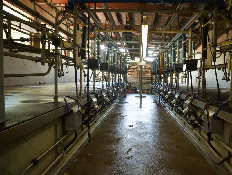 Automatic milking system stock image. Image of computer - 205915567
