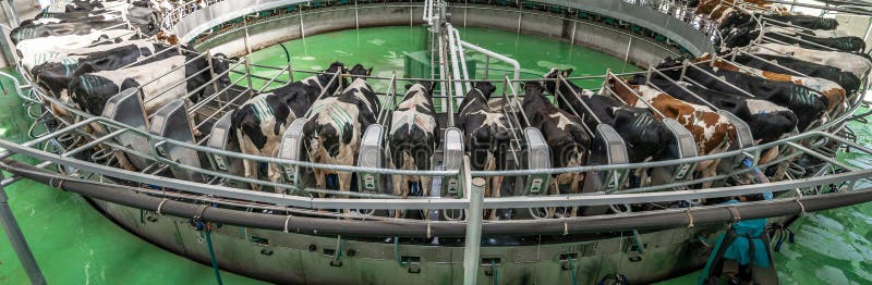Automatic milking system stock image. Image of nutrients - 22797297