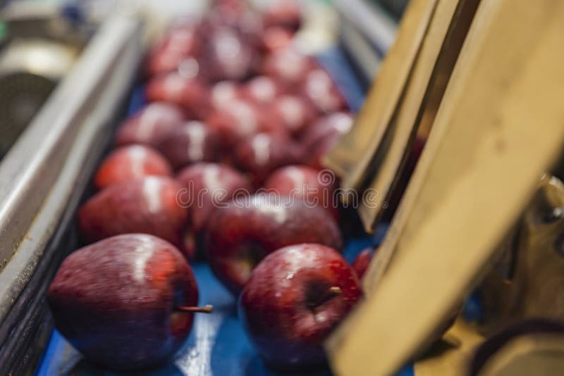 Automatic Movement of Apples Stock Photo - Image of juicy, asia: 251025972