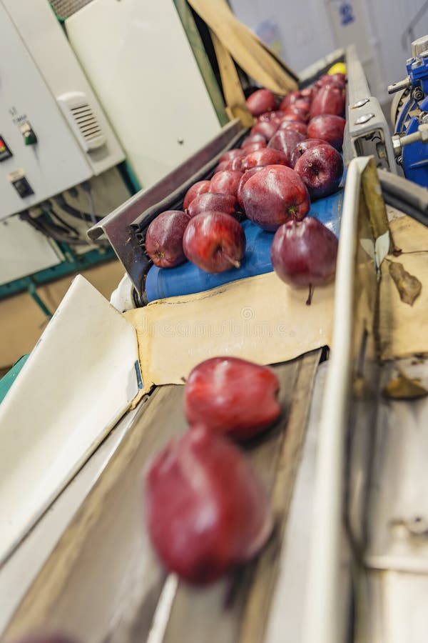 Automatic Movement of Apples Stock Image - Image of send, liquid: 251519075