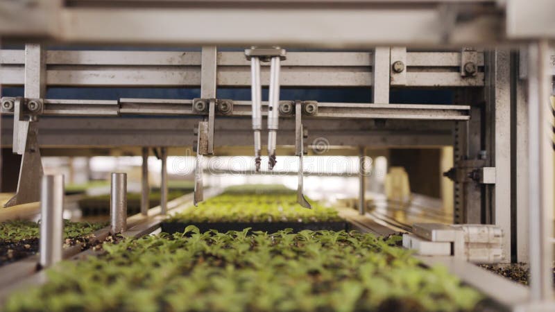 Automatic Planting of Young Seedlings Using a Robot in an Industrial ...