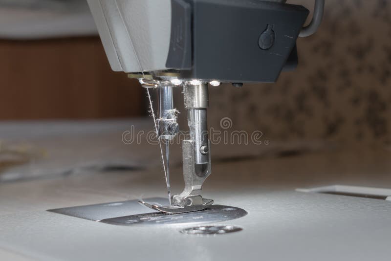Automatic Sewing Machine. Close-up of a Needle and a Clipper Foot Stock ...