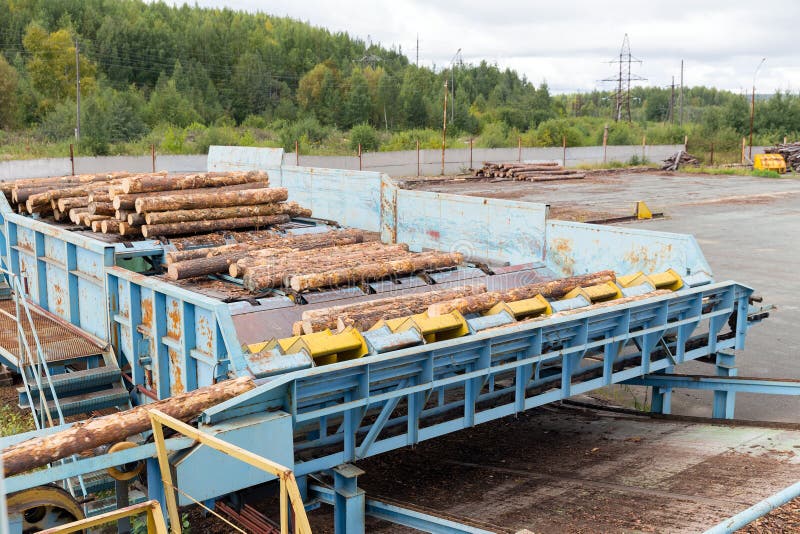 Automatic Sorting Logs Diameter at Sawmill Stock Image - Image of ...