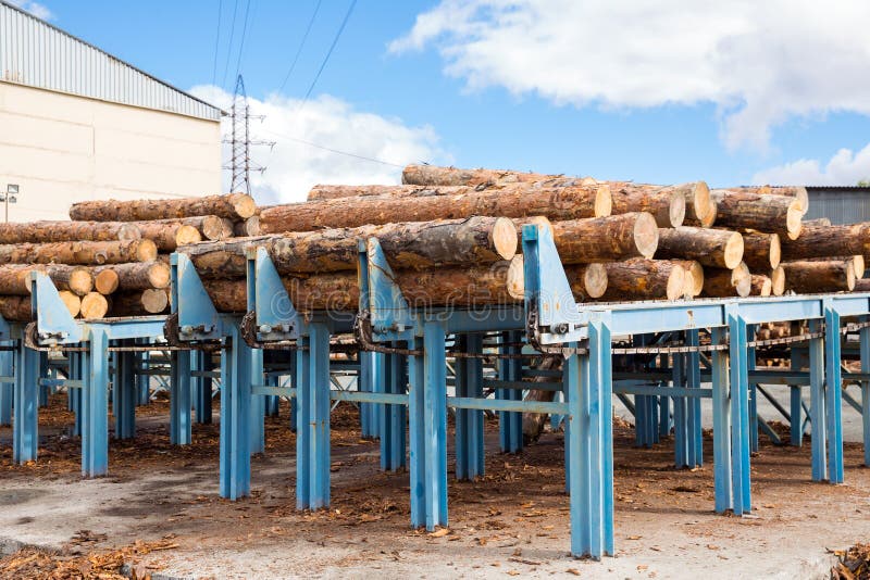 Automatic Sorting Logs Diameter at Sawmill Stock Photo - Image of ...