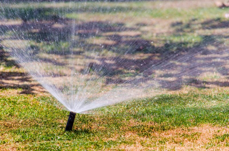 DIY Automatic Sprinkle Water System for Growing Vegetable in the Farm ...