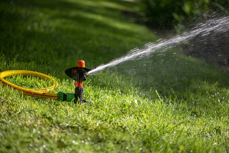 Automatic Sprinkler System Watering the Lawn.Watering in the Garden ...