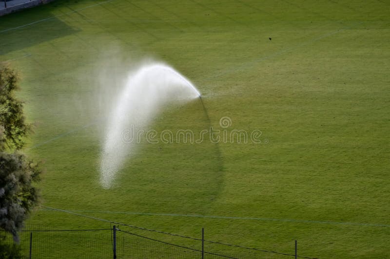 Automatic Watering of a Lawn Stock Photo - Image of crop, green: 101634178
