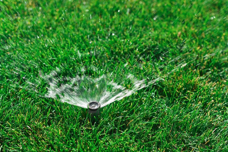 Automatic Watering of the Lawn with Green Grass. Sprinkler System ...