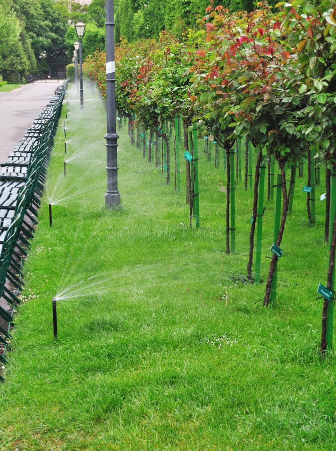 Automatic Watering Trees in the Park Stock Photo - Image of outdoor ...