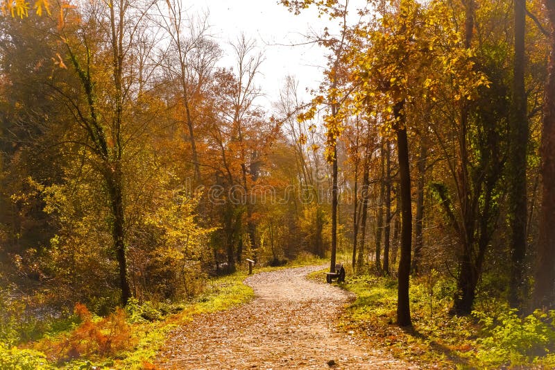 Automn stock photo. Image of gray, landscape, storm, village - 3723440