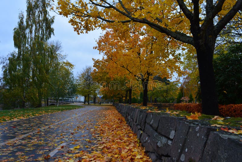 Automn stock image. Image of colorfull, garden, landscape - 79255269