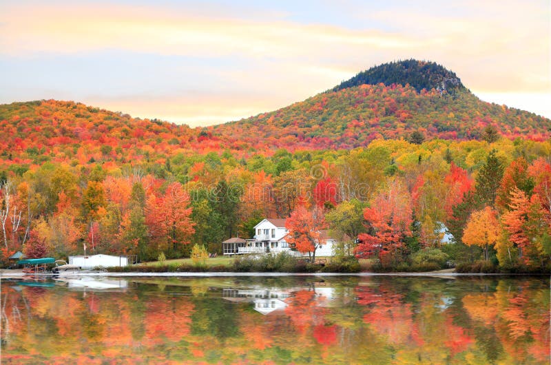Automne Au Vermont Près De Groton Photo stock éditorial - Image du été ...