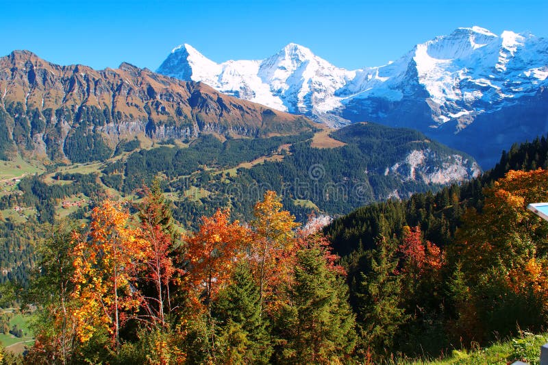 Automne Dans Les Montagnes, Les Alpes, Suisse Photo stock - Image du ...