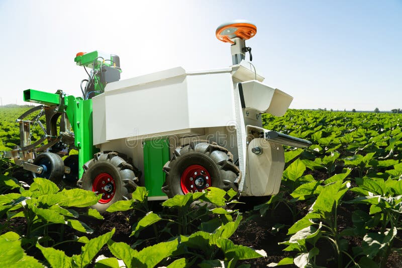 Autonomous Wheeled Robot is Working in an Agricultural Field. Using ...