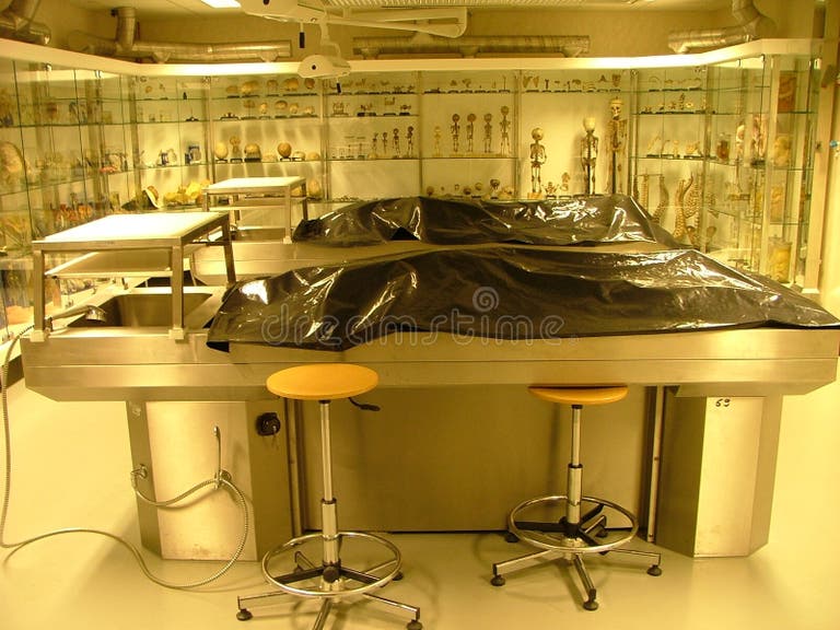 Autopsy room stock photo. Image of examiner, metal, mortem - 126422