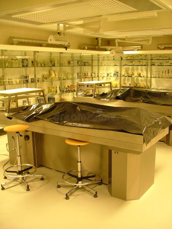 Autopsy room stock image. Image of dissecting, anatomy - 126423