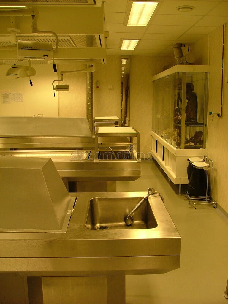226 Autopsy Room Stock Photos - Free & Royalty-Free Stock Photos from ...