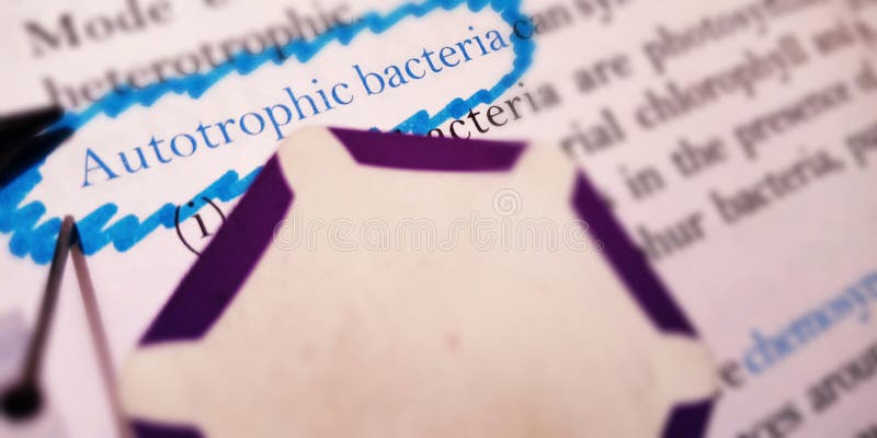 Autotrophic Bacteria Text Covering through Blue Border Text Pattern ...