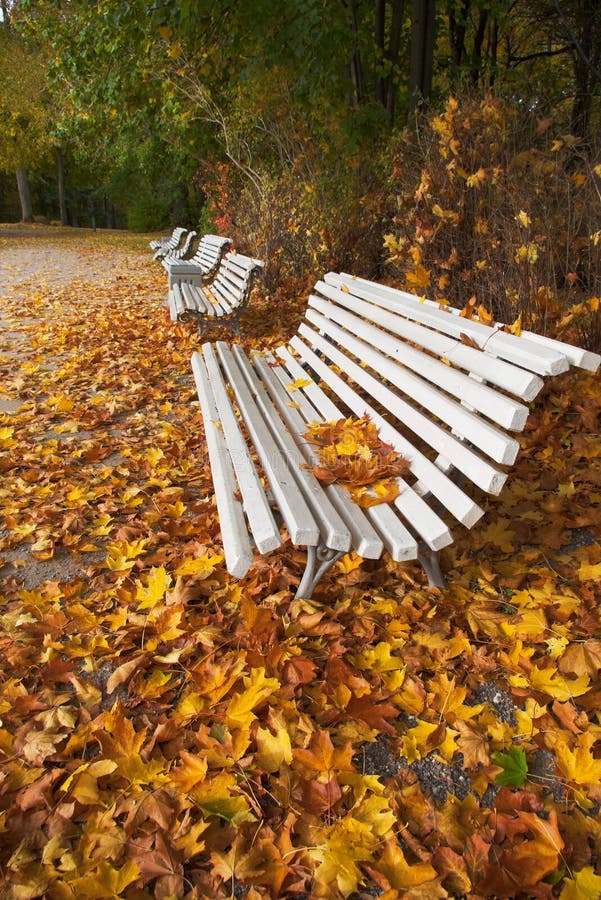 Autumn bench stock photo. Image of season, colorful, october - 11397352