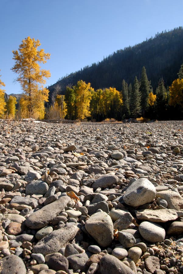 Autum Color in Mountains stock image. Image of pine, landscape - 3420611