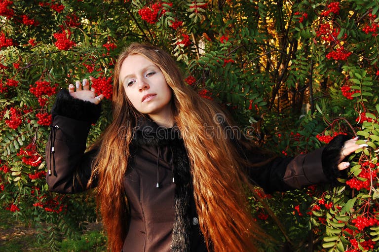 160 Autum Trees Black White Stock Photos - Free & Royalty-Free Stock ...