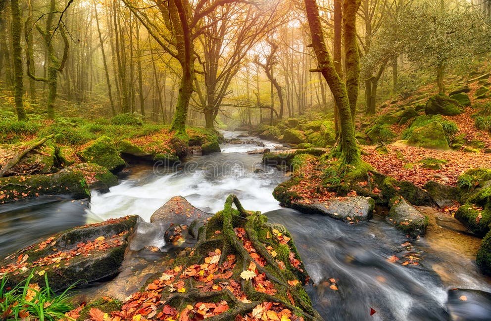 Autum Forest River stock image. Image of cornwall, magical - 48233155