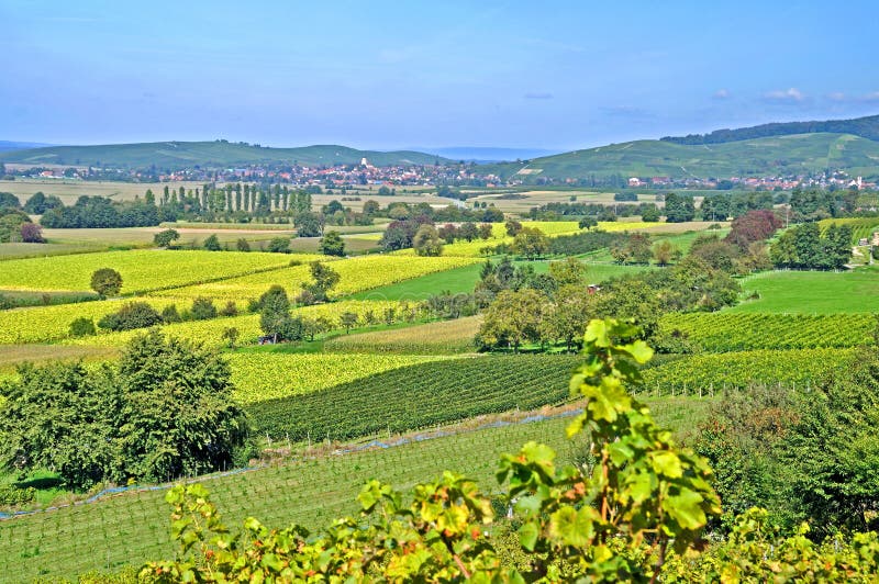 Autum Landscape Near Freiburg,Germany Stock Image - Image of vine, lane ...