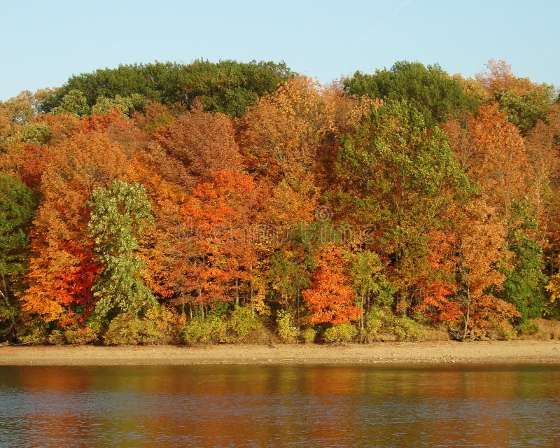 Autum nine stock photo. Image of outside, botanical, pond - 1317908