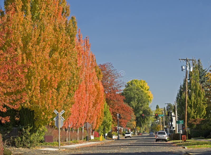 Autum Street stock photo. Image of beautiful, street, leave - 6860074